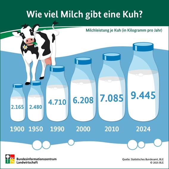 Wie viel Milch gibt eine Kuh (1900 - 2024)? - food-monitor
